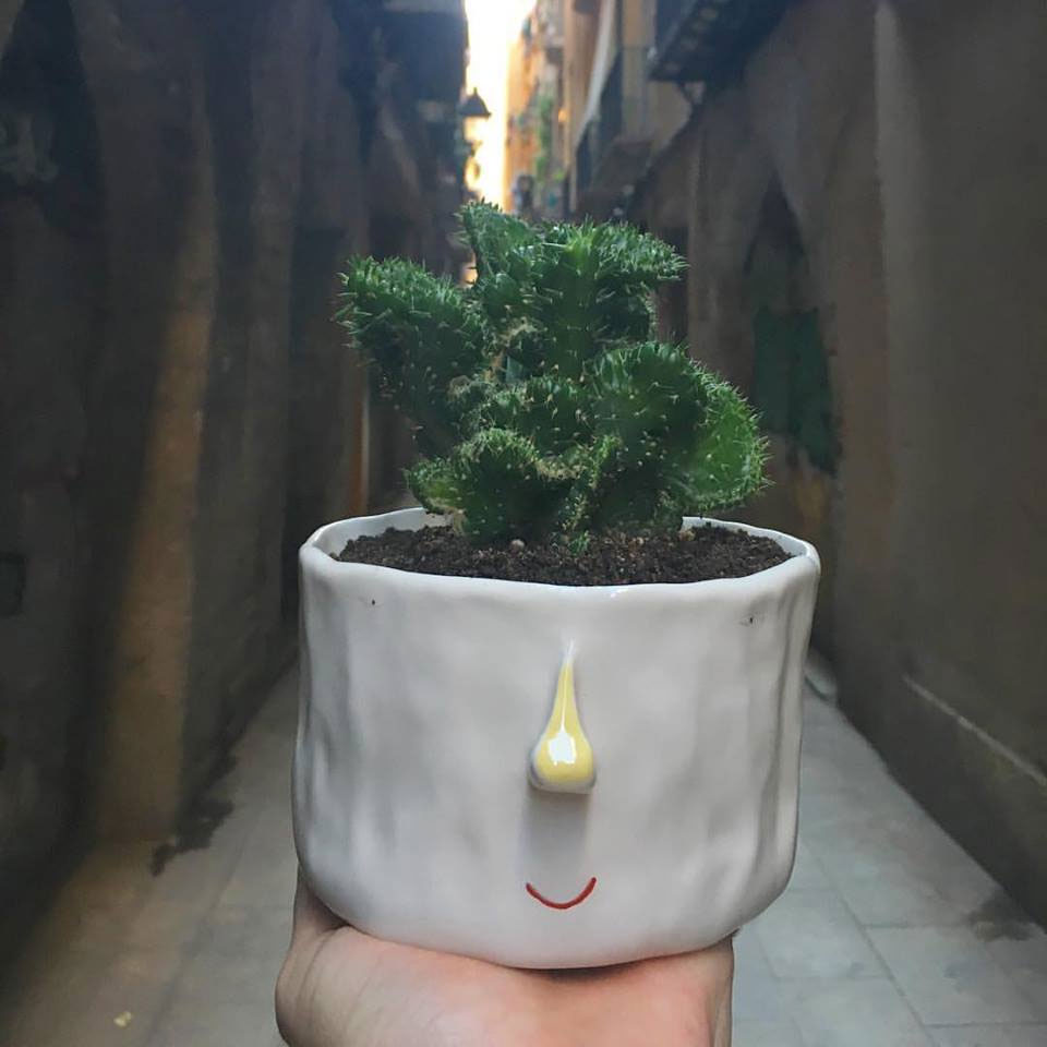 Pompilio Plants | Decofeelings