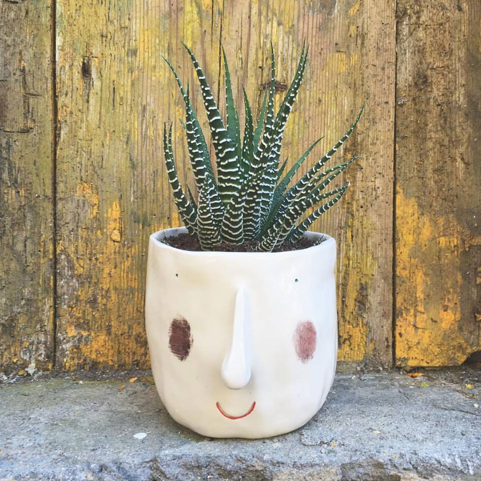 Pompilio Plants | Decofeelings