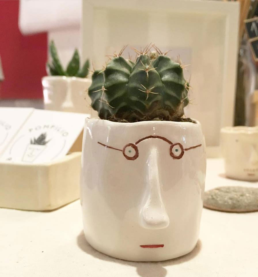 Pompilio Plants | Decofeelings