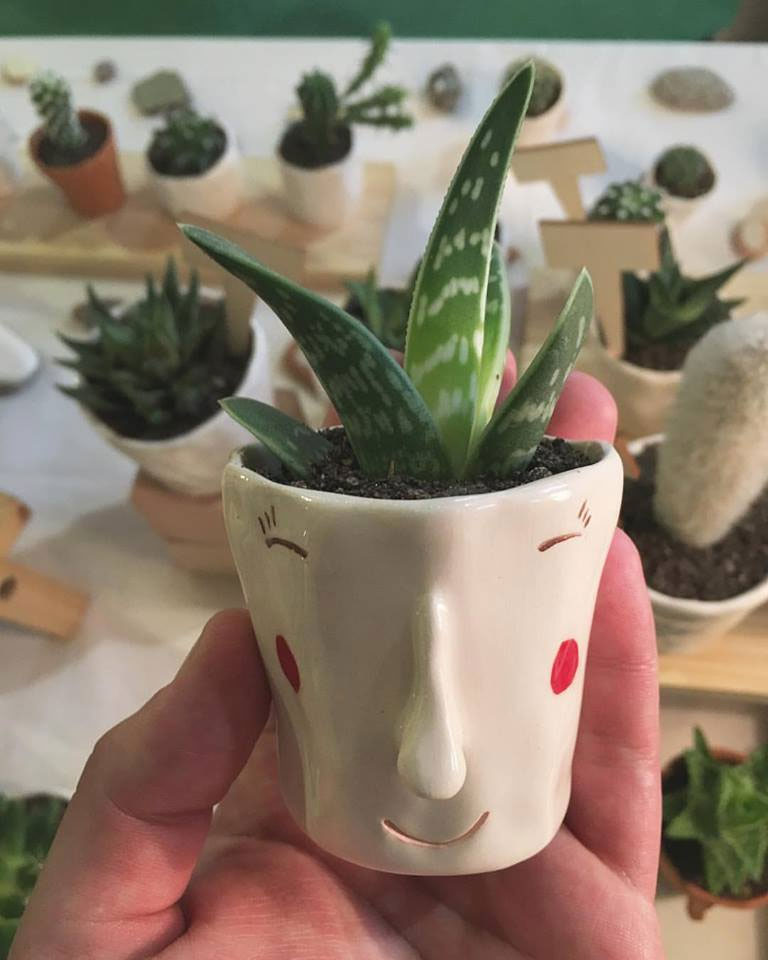 Pompilio Plants | Decofeelings