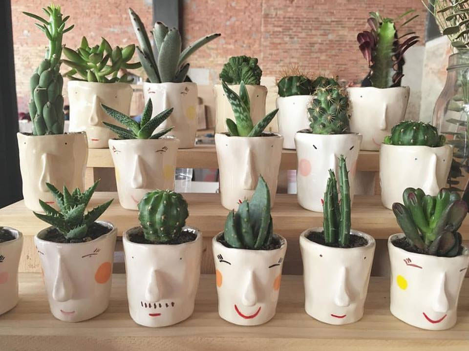 Pompilio Plants | Decofeelings