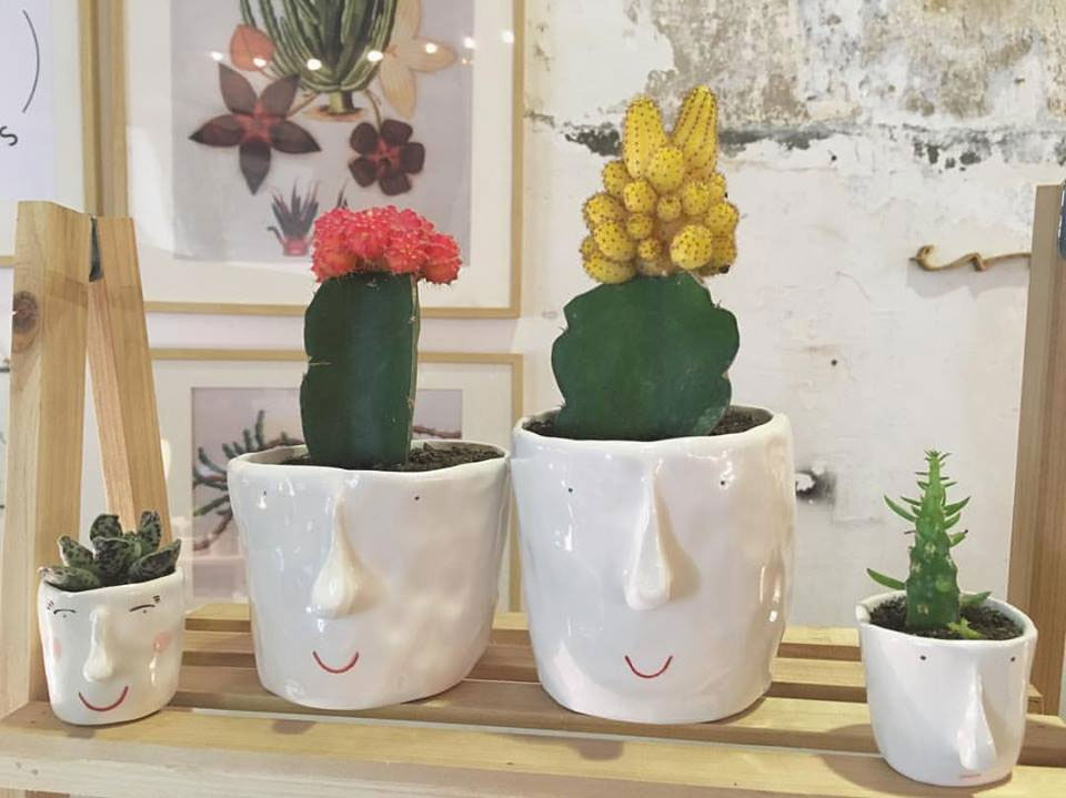 Pompilio Plants | Decofeelings